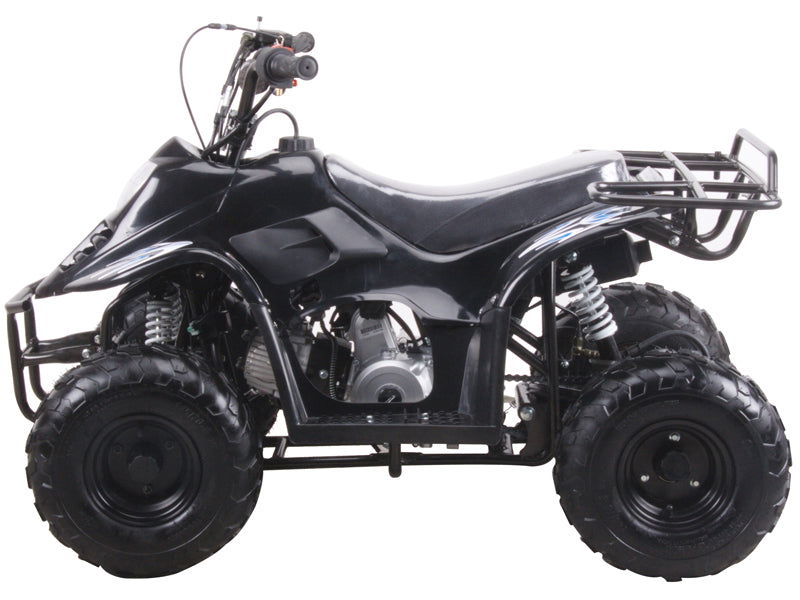 mini quad atv 110
