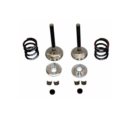 Valves & Springs – GoKarts USA®