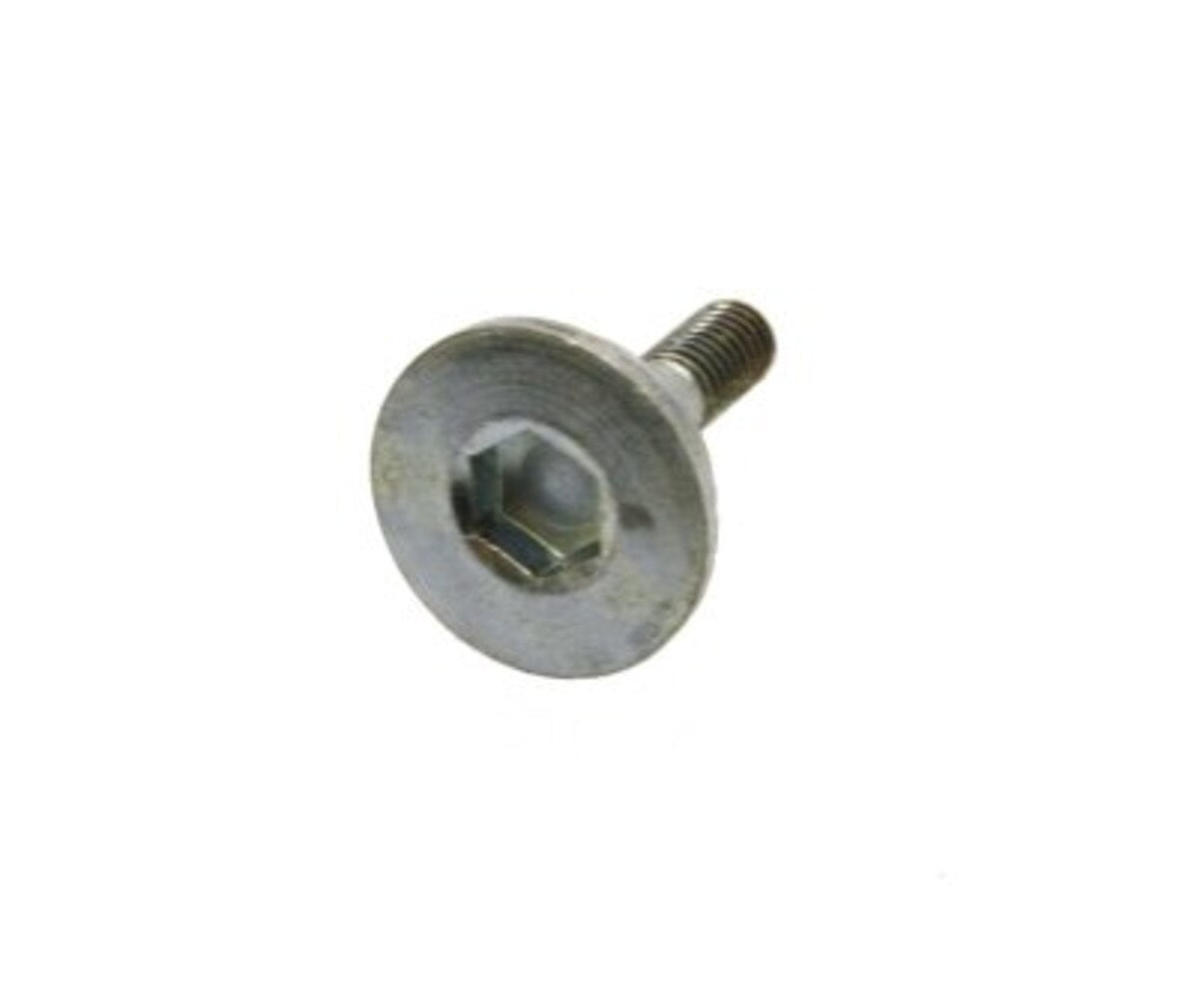Cam Chain Guide Bolt - QMB139 – GoKarts USA®
