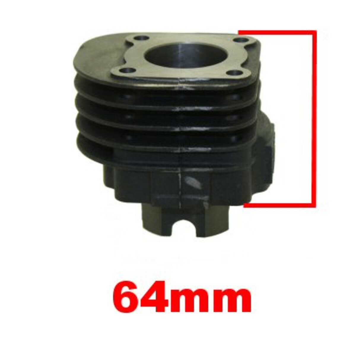 Cylinder for 50cc 2-stroke Minarelli 1PE40QMB Jog Engines – GoKarts USA®