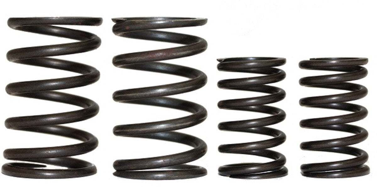 RDR Chrome Silicon Steel Alloy Valve Springs – GoKarts USA®