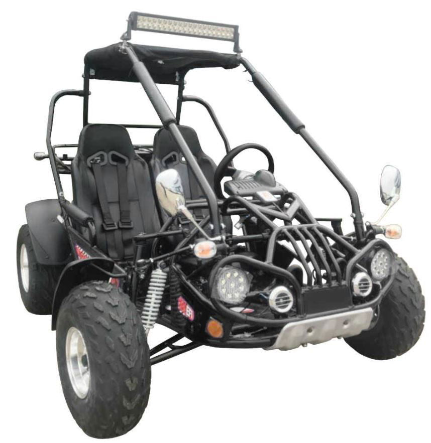 200E XRX (EFI) Fuel Injection Deluxe Buggy Go Kart – GoKarts USA®
