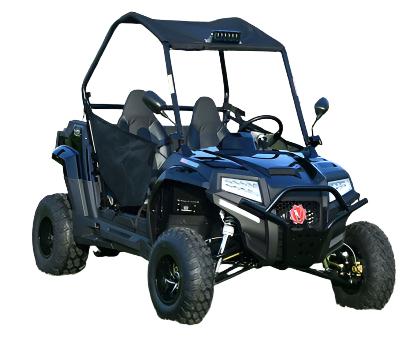 Blade 200U EFI UTV Side-by-Side, Electric Start, Automatic with Revers ...