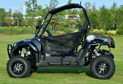 Blade 200U EFI UTV Side-by-Side, Electric Start, Automatic with Revers ...