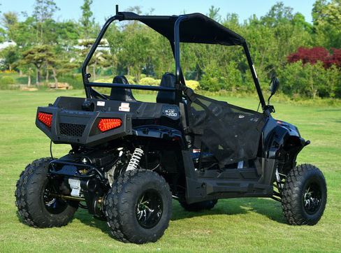 Blade 200U EFI UTV Side-by-Side, Electric Start, Automatic with Revers ...