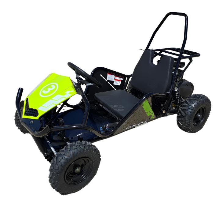 TrailMaster Cheetah 3 Kids Mini Go Kart, 80cc gas engine, seat belt, K ...