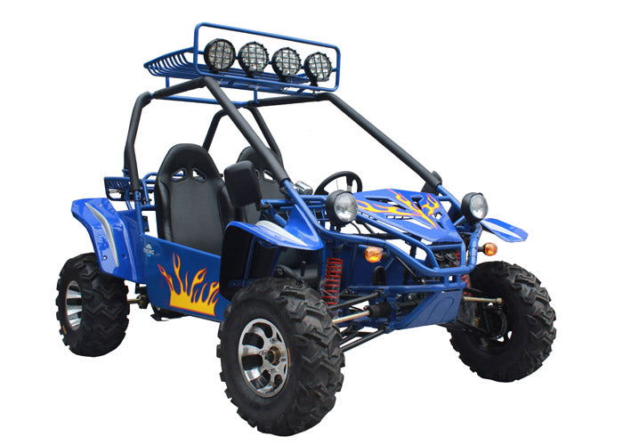 Commander 200 Buggy Go Kart, Electric Start, Automatic with Reverse, A ...