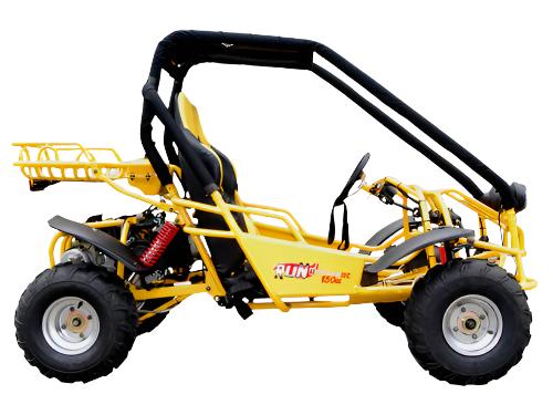 Explorer 150cc Buggy Go Kart, Electric Start, Automatic with Reverse ...