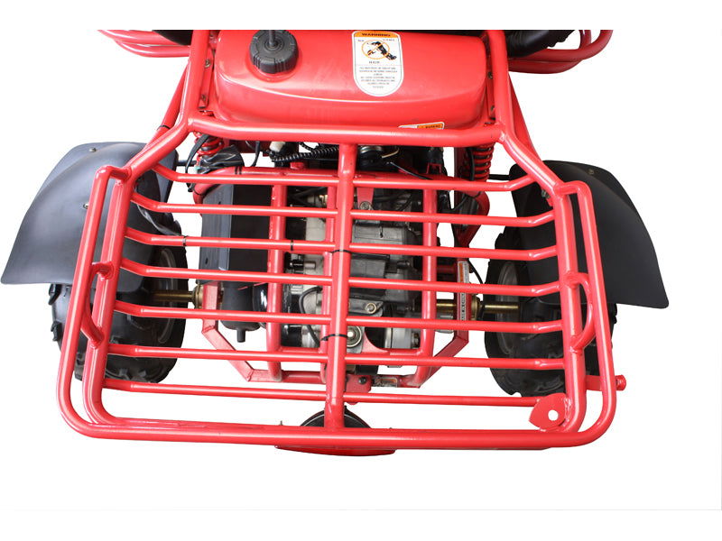 Explorer 150cc Buggy Go Kart, Electric Start, Automatic with Reverse ...