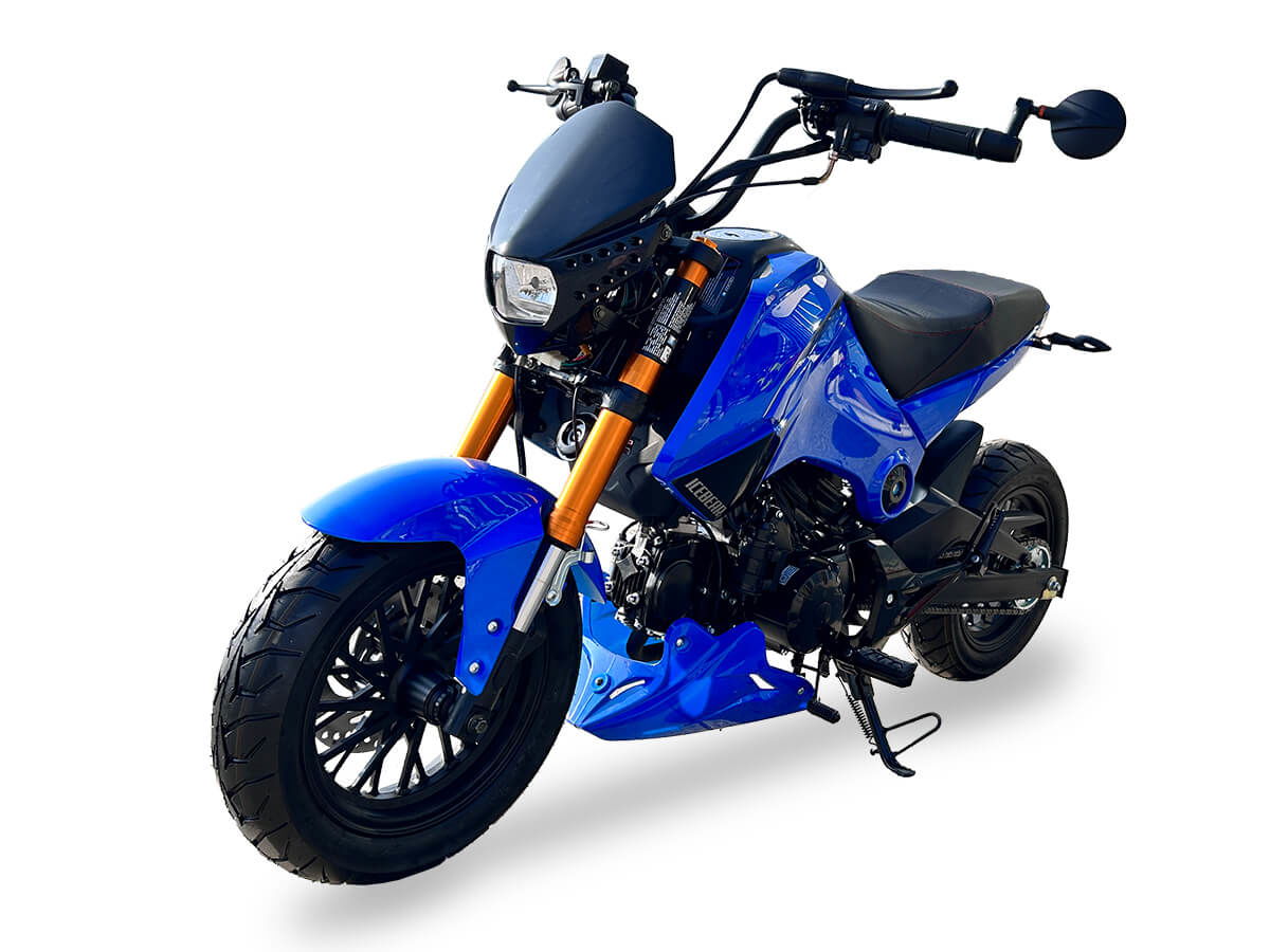 Fuerza 125cc Motorcycle, 4-Speed Manual, Dual Disc Brakes, 12 inch Alu ...