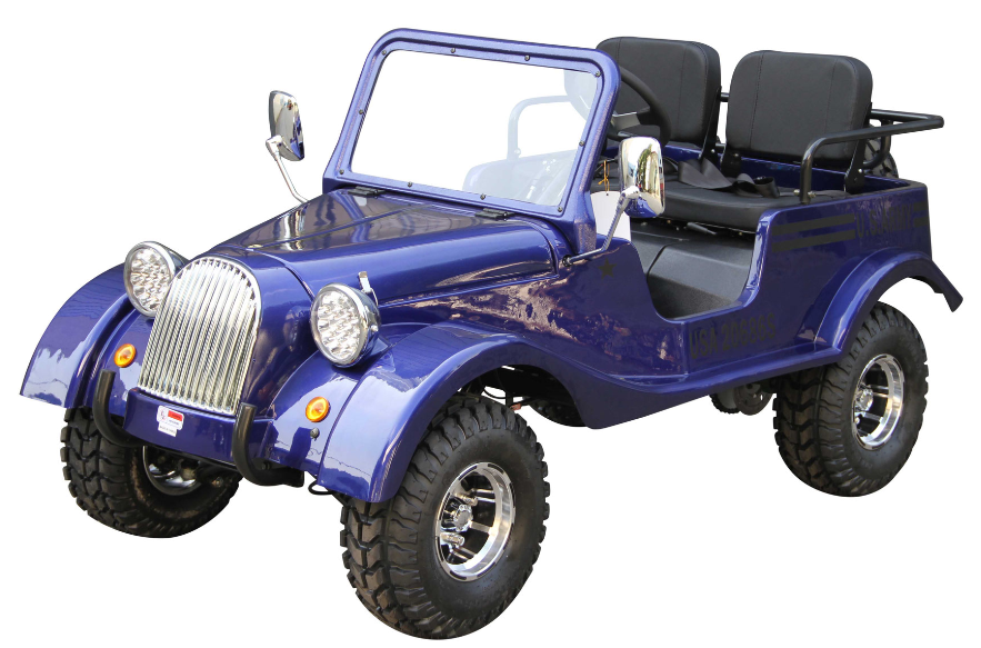 GR-5 Mini Jeep Roadster Go Kart, 125cc Electric Start, 3-Speed Semi-Au ...