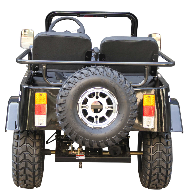 GR-5 Mini Jeep Roadster Go Kart, 125cc Electric Start, 3-Speed Semi-Au ...