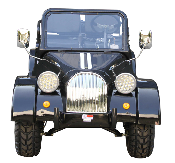 GR-5 Mini Jeep Roadster Go Kart, 125cc Electric Start, 3-Speed Semi-Au ...
