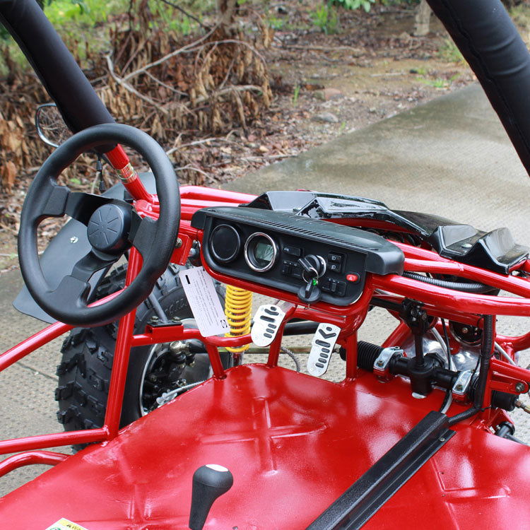 Jaguar 200 DLX Buggy Go Kart, Electric Start, Automatic with Reverse ...