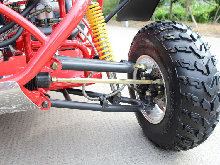 Jaguar 200 DLX Buggy Go Kart, Electric Start, Automatic with Reverse ...