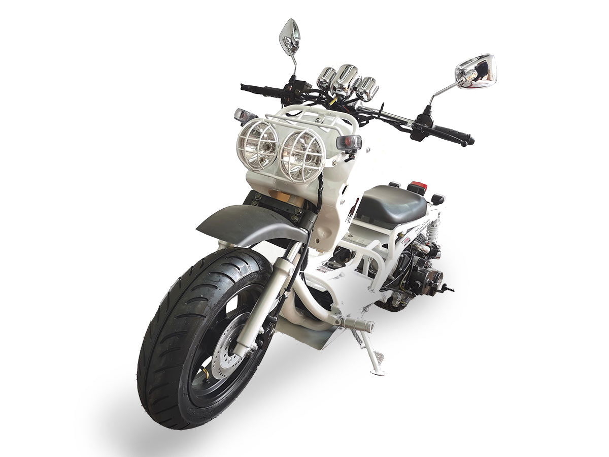 Maddog Gen I 50cc Street Scooter, Automatic, Front Disc Brake, 12 inch ...