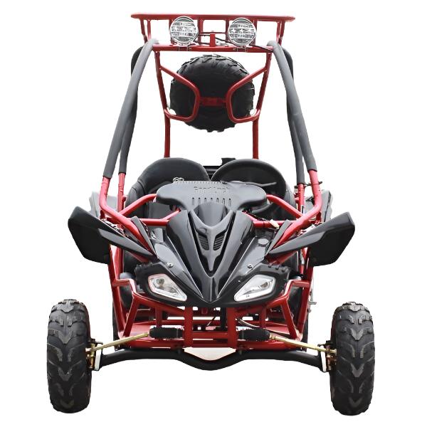 Mini Jaguar Kids Go Kart, 125cc engine with Electric Start, Automatic ...