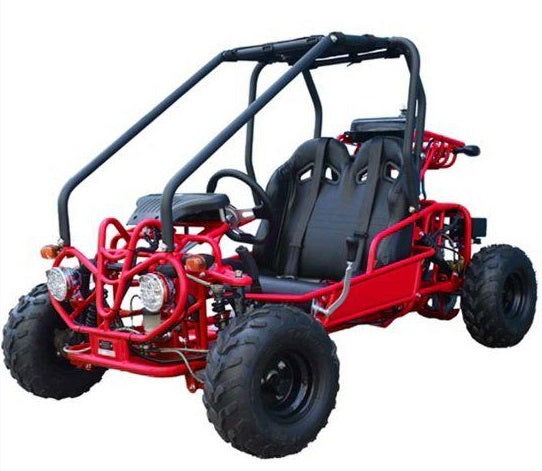 Mini Raptor 125cc Kids Gas Go Kart, Electric Start, Automatic with Rev ...