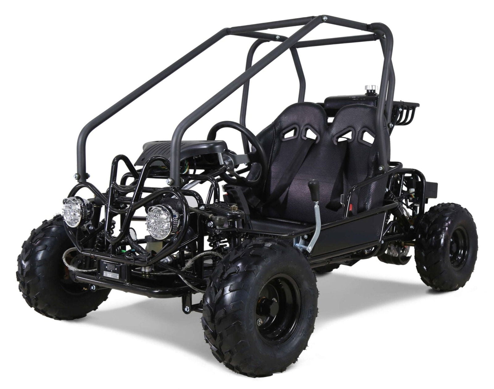 Mini Raptor 125cc Kids Gas Go Kart, Electric Start, Automatic with Rev ...