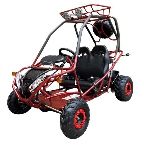 PGO 200GVA Kids Gas Go Kart, 6.5hp 196cc engine with Electric Start, A ...