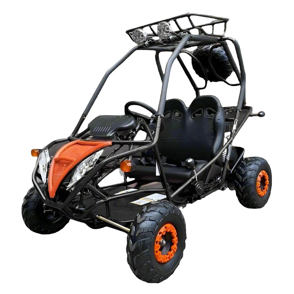 PGO 200GVA Kids Gas Go Kart, 6.5hp 196cc engine with Electric Start, A ...