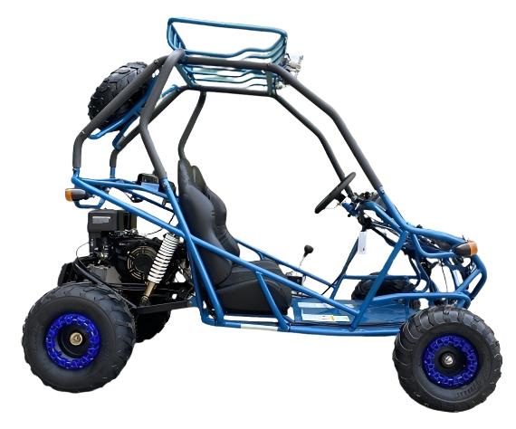 PGO 200GVA Kids Gas Go Kart, 6.5hp 196cc engine with Electric Start, A ...