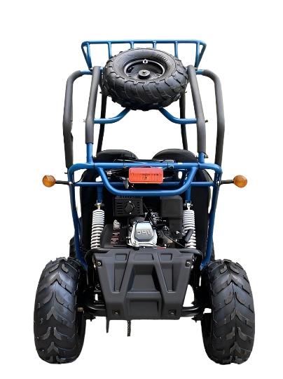 PGO 200GVA Kids Gas Go Kart, 6.5hp 196cc engine with Electric Start, A ...