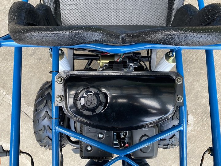 PGO 200GVA Kids Gas Go Kart, 6.5hp 196cc engine with Electric Start, A ...