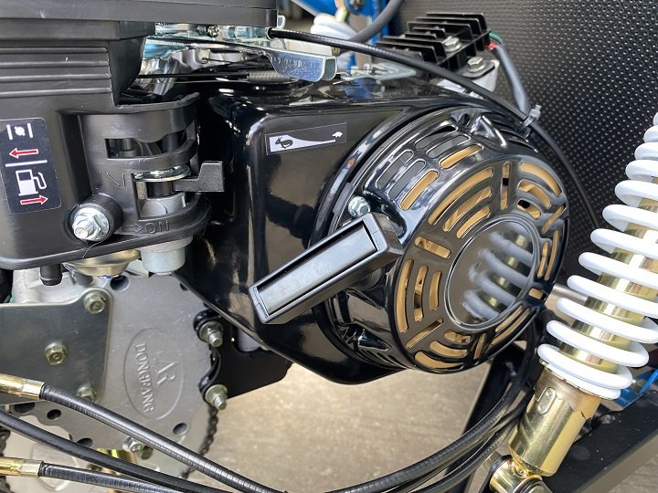 PGO 200GVA Kids Gas Go Kart, 6.5hp 196cc engine with Electric Start, A ...