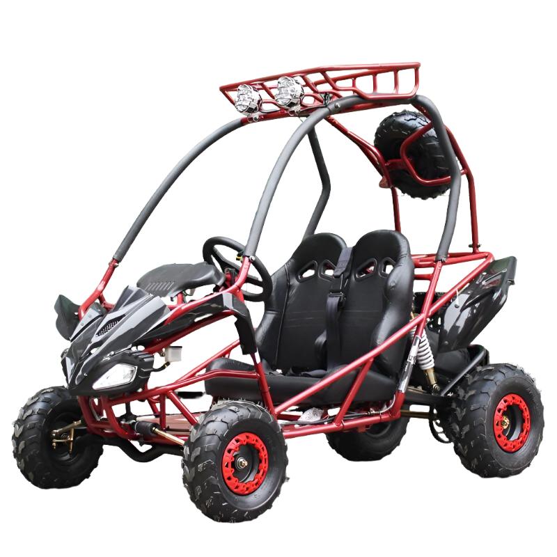 PGO 200GVS Kids Gas Go Kart, 6.5hp 196cc engine with Electric Start, A ...