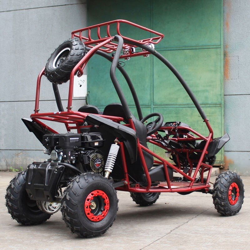 PGO 200GVS Kids Gas Go Kart, 6.5hp 196cc engine with Electric Start, A ...