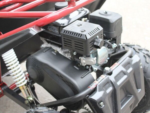 PGO 200GVS Kids Gas Go Kart, 6.5hp 196cc engine with Electric Start, A ...