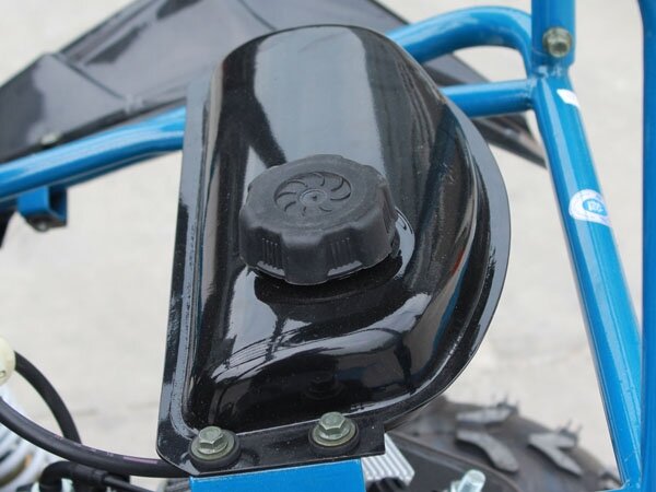 PGO 200GVS Kids Gas Go Kart, 6.5hp 196cc engine with Electric Start, A ...