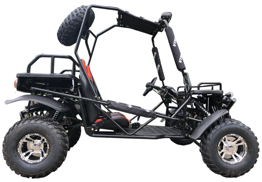 Rancher 200DLX Buggy Go Kart, Electric Start, Automatic with Reverse ...