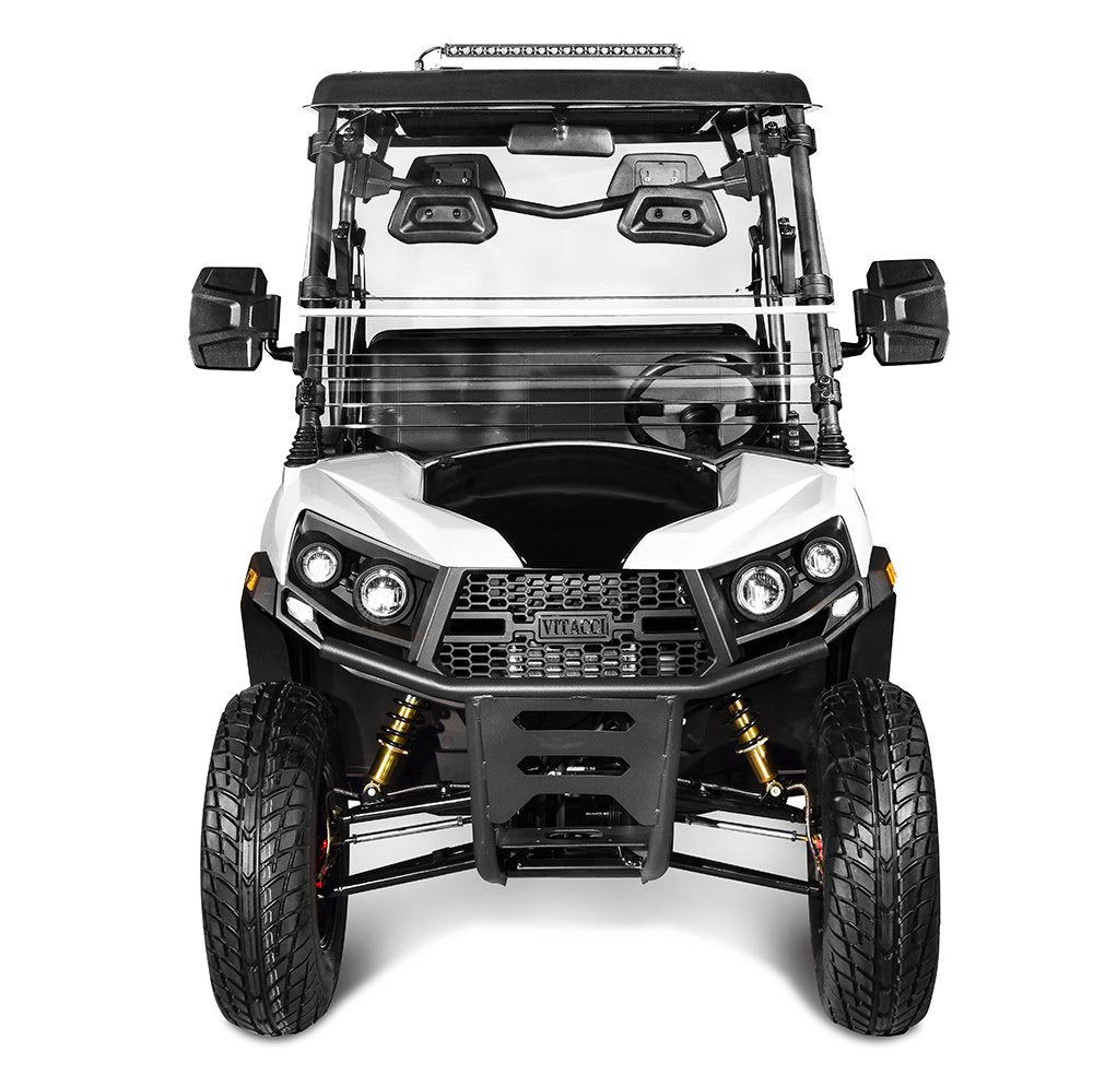 Rover 300 Gas Golf Cart, Electronic Fuel Injection, Automatic with Rev ...