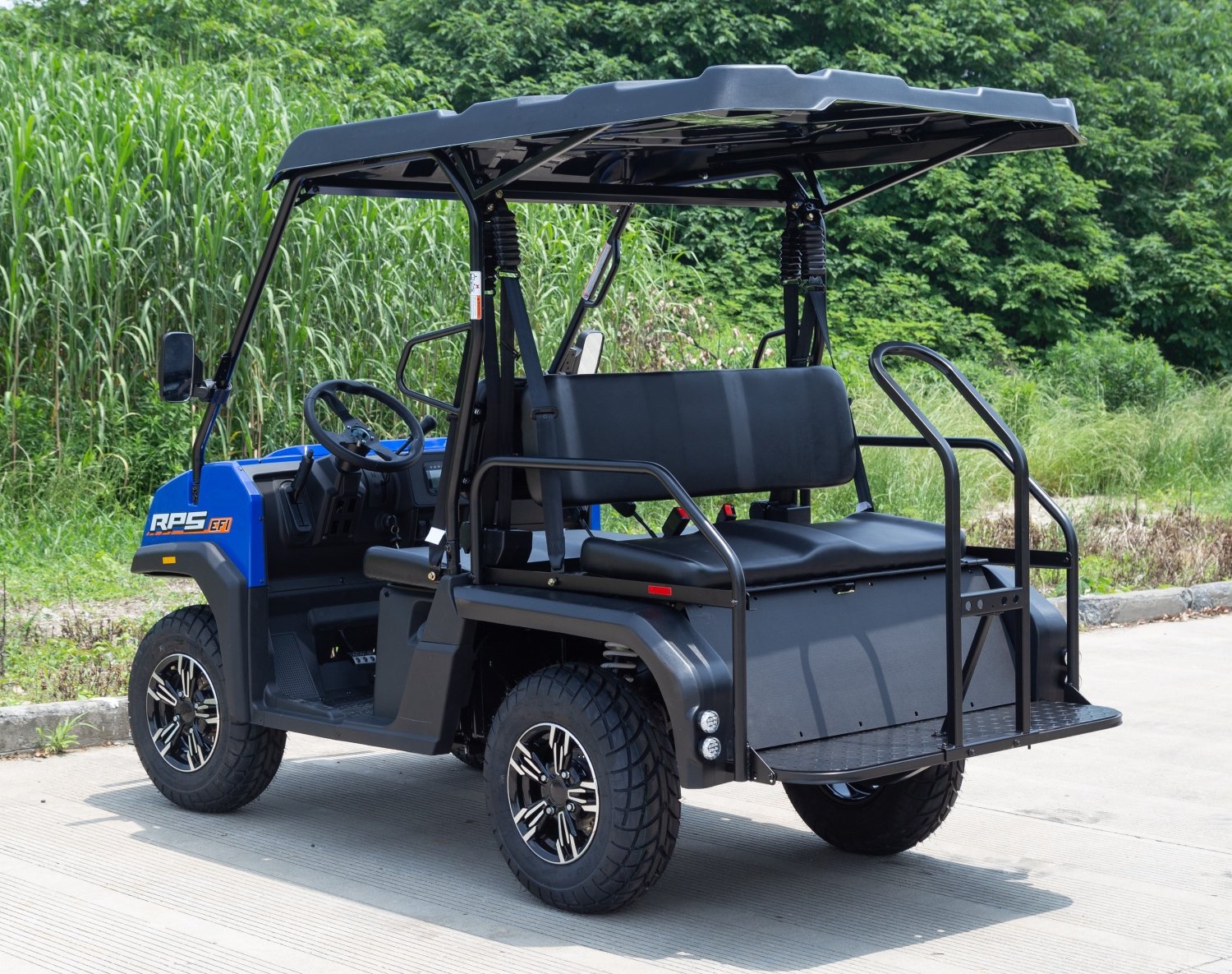 SSV 200 EFI Gas Golf Cart, Automatic with Reverse, Deluxe Alloy Wheels ...