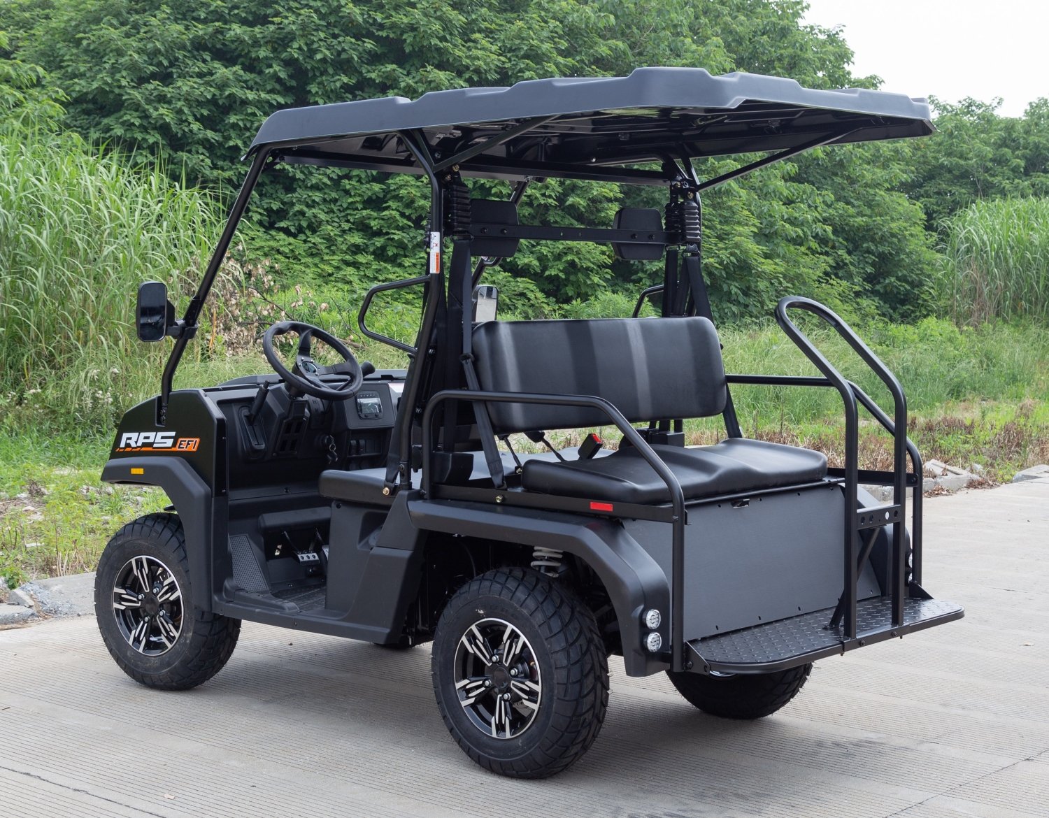 SSV 200 EFI Gas Golf Cart, Automatic with Reverse, Deluxe Alloy Wheels ...