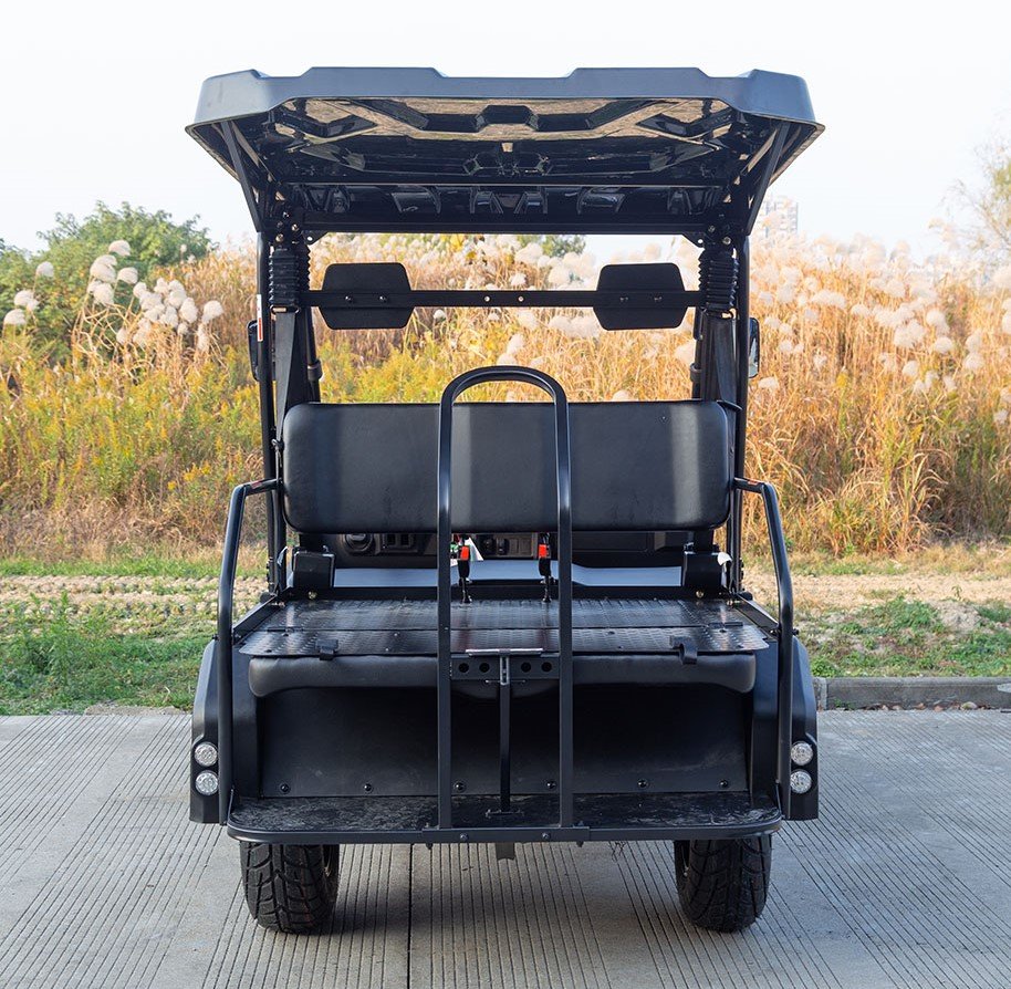 SSV 200 EFI Gas Golf Cart, Automatic with Reverse, Deluxe Alloy Wheels ...