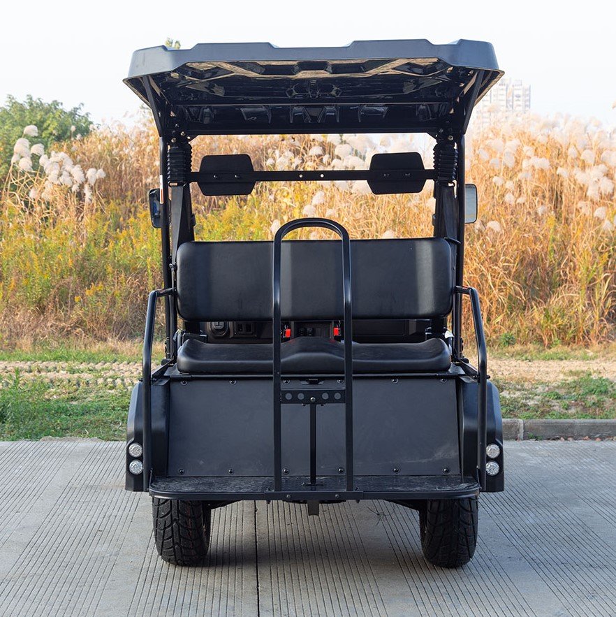 SSV 200 EFI Gas Golf Cart, Automatic with Reverse, Deluxe Alloy Wheels ...