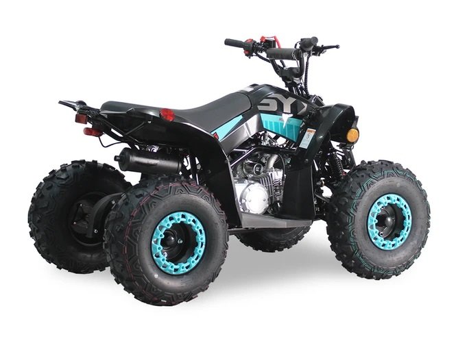 SYX 125cc Kids Sport ATV, 3-Speed Semi-automatic with Reverse, Ages 9 ...