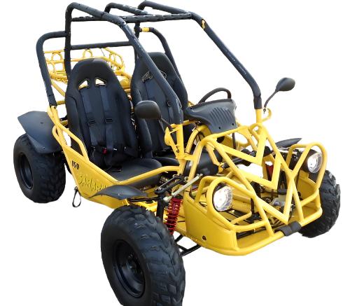 Sahara 150cc Buggy Go Kart, Electric Start, Automatic with Reverse, Ag ...
