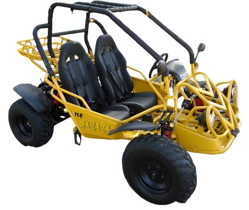 Sahara 150cc Buggy Go Kart, Electric Start, Automatic with Reverse, Ag ...