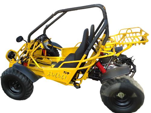 Sahara 150cc Buggy Go Kart, Electric Start, Automatic with Reverse, Ag ...