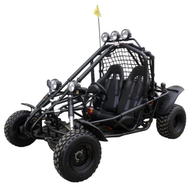 Spider 200 Buggy Go Kart, Electric Start, Automatic with Reverse, 10-i ...