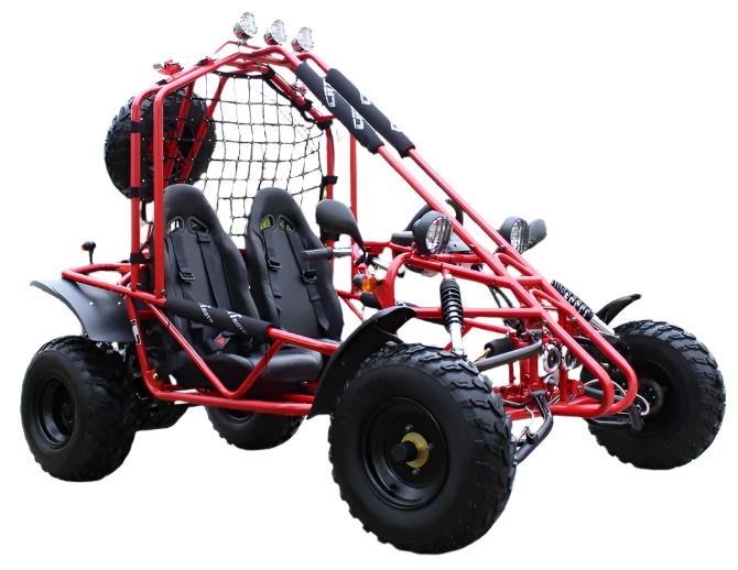 Spider 200 Buggy Go Kart, Electric Start, Automatic with Reverse, 10-i ...