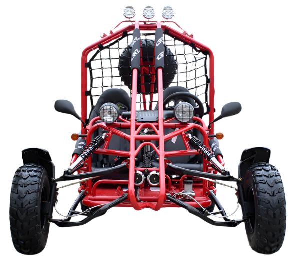Spider 200 Buggy Go Kart, Electric Start, Automatic with Reverse, 10-i ...