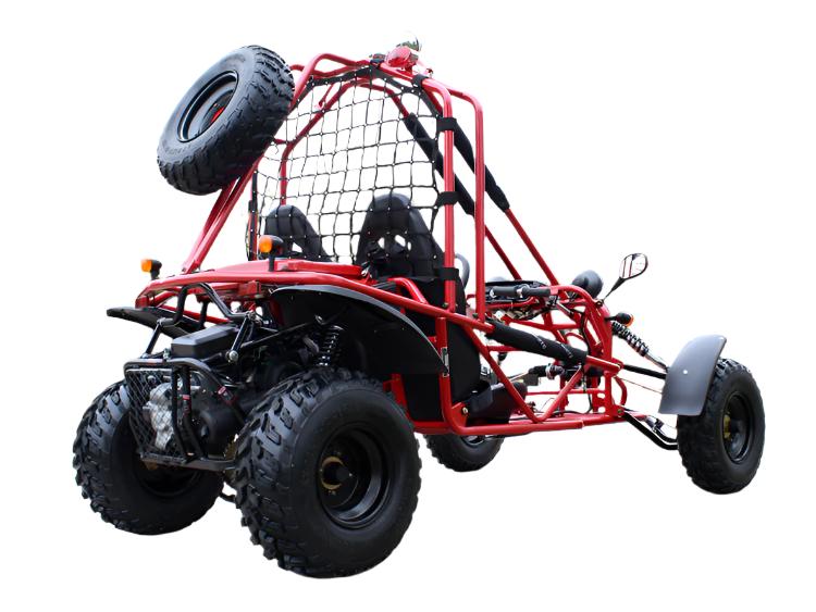Spider 200 Buggy Go Kart, Electric Start, Automatic with Reverse, 10-i ...