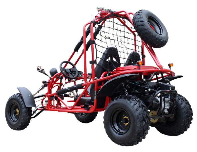 Spider 200 Buggy Go Kart, Electric Start, Automatic with Reverse, 10-i ...