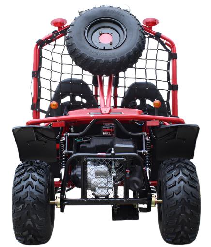 Spider 200 Buggy Go Kart, Electric Start, Automatic with Reverse, 10-i ...