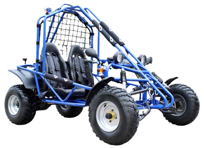 Spider 200 Buggy Go Kart, Electric Start, Automatic with Reverse, 10-i ...